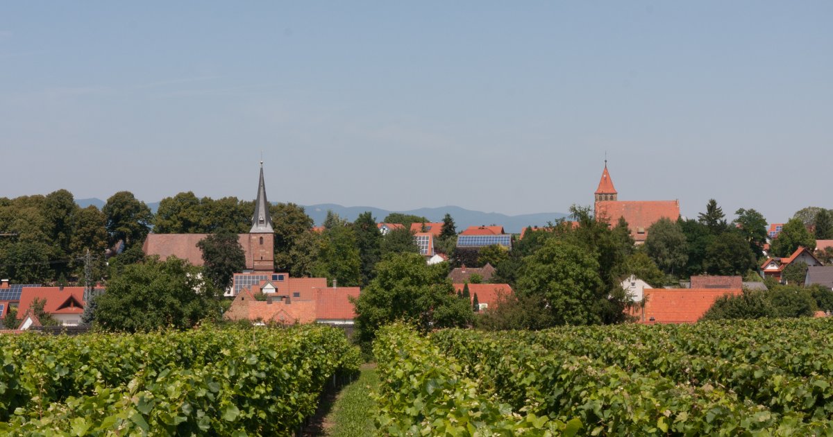 Willkommen | Insheim